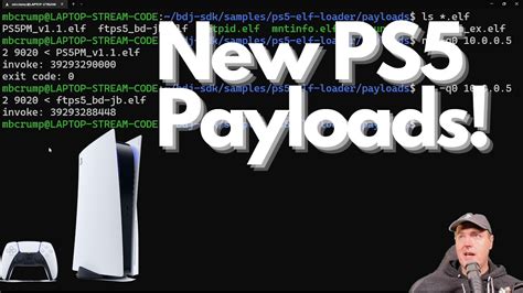 New Payloads For The PS5 Hardware Info List Processes And More YouTube