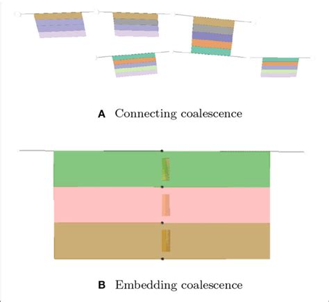Visualization Of Coalescing Lyphs A Connecting Coalescence B Download Scientific