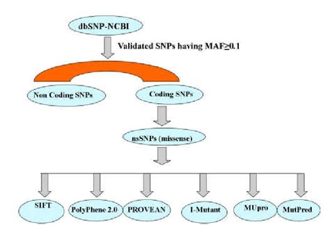 Schematic Representation Of Computational Approach Employed For In