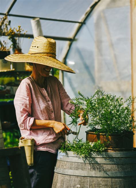 Deirdre Fraser The Plant Wizard Of Pearl Morissette World Sensorium Conservancy