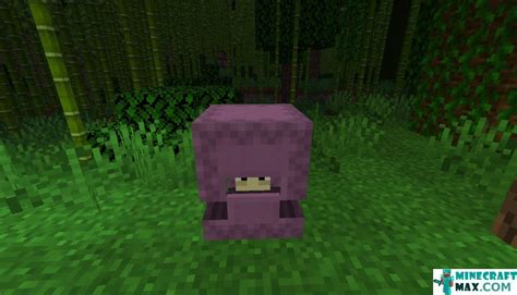 How To Make Shulker Spawn Egg In Minecraft Minecraft Max Com