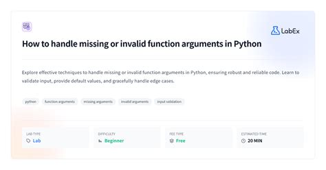 how to handle missing or invalid function arguments in python labex