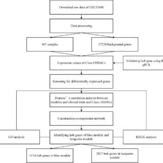 Flow Diagram Of Data Preparation Processing Analysis And Validation Download Scientific