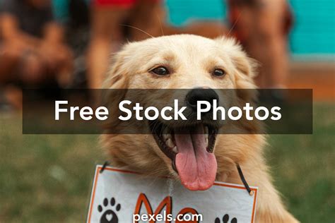 Anime Cameltoe Photos Download The Best Free Anime Cameltoe Stock