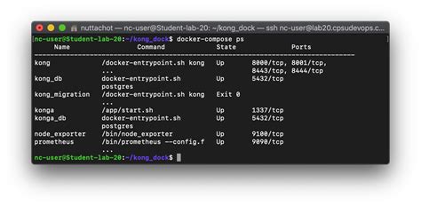 สร้าง Api Gateway และระบบ Monitoring Microservice ด้วย Kong Prometheus และ Grafana แบบง่ายๆ