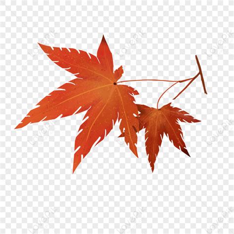 단풍 나무는 빨간색입니다 Png 일러스트 무료 다운로드 Lovepik
