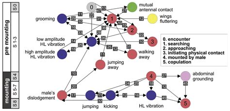 Precopulatory Behavior And Sexual Conflict In The Desert Locust PeerJ