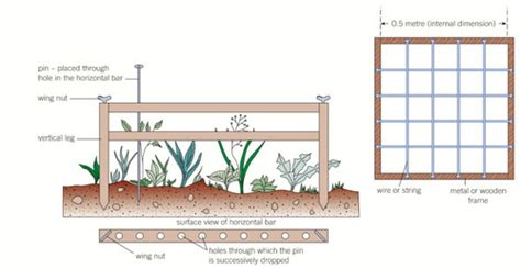 Biology 11 3 Sampling Techniques Flashcards Quizlet Biology 11 3 Sampling Techniques Flashcards Quizlet