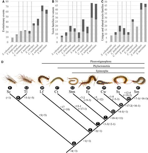 Comparison Of Evolutionary Dynamics Of Venom Composition Between