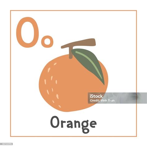 주황색 클립아트 주황색 벡터 그림 만화 평면 스타일입니다 과일은 문자 O로 시작합니다 과일 알파벳 카드 학습 편지 O 카드 어린이 교육 귀여운 오렌지 벡터 디자인 2 3
