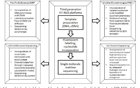 Figure 2 From Next Generation Sequencing And Bioinformatics Semantic Scholar
