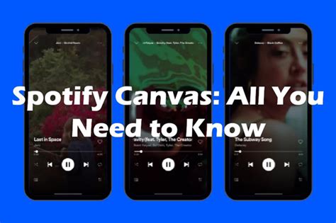 Spotify Canvas Review Full User Guide Issues Fix