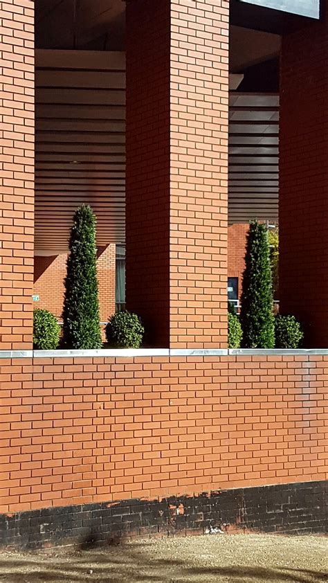 The Annoying Stack Of Smaller Bricks Under The Left Plant If You
