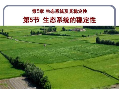 生物：55《生态系统的稳定性》课件新人教版必修351word文档在线阅读与下载无忧文档