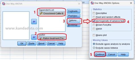 How To Test Homogeneity Of Variance In One Way Anova Kanda Data