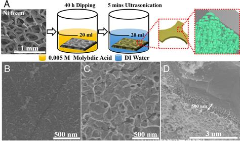 Synthesis And Structure Of Mo Layer Coated Nickel Foam Mnf A Download Scientific Diagram