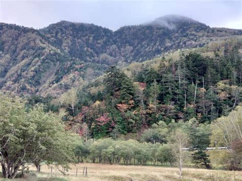 菅沼キャンプ村菅沼キャンプ場