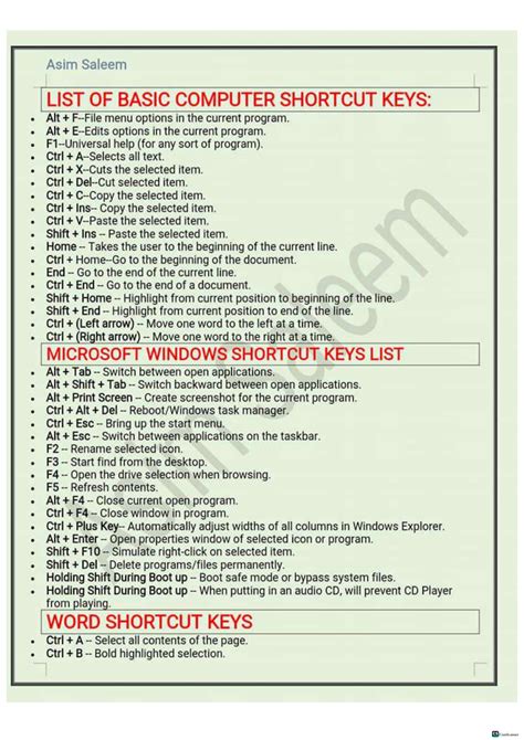 SOLUTION Basic Computer Shortcut Keys Studypool