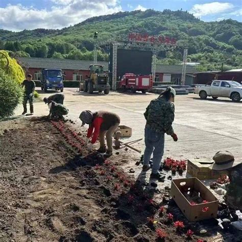 【林海党旗红】大河身林场：笃行致远践初心 高歌奋进新征程建设工作活动