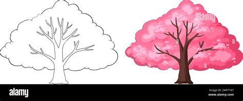 Two Trees Depicting Seasonal Transformation Stock Vector Image And Art