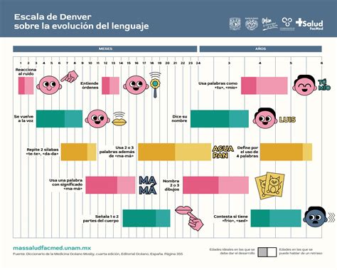 Interpretación Del Test De Denver