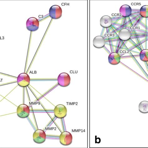 Protein Protein Interaction Network Showing The Most Important Proteins
