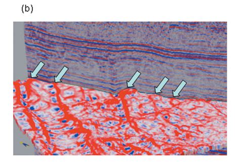 Seismic Curvature Attributes For Mapping Faultsfractures And Other Stratigraphic Features