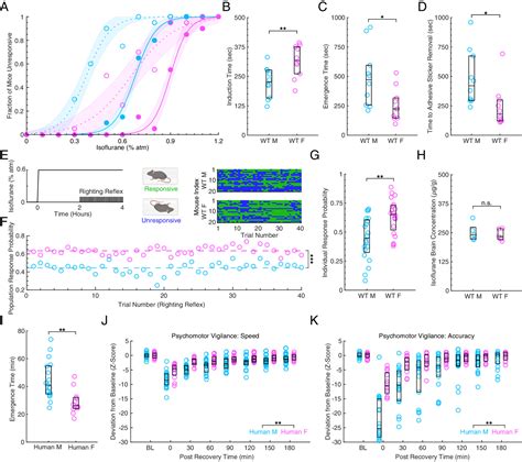 Hormonal Basis Of Sex Differences In Anesthetic Sensitivity Pnas Hormonal Basis Of Sex Differences In Anesthetic Sensitivity Pnas