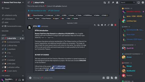 Create Professional Discord Server By Dionne Fiverr