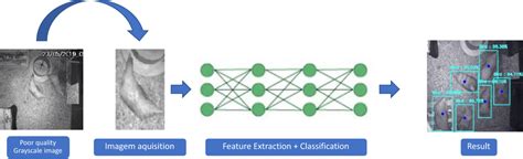 Schematics Of The General Workflow Of The Chicken Detection System In