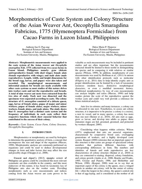 Morphometrics Of Caste System And Colony Structure Of The Asian Weaver