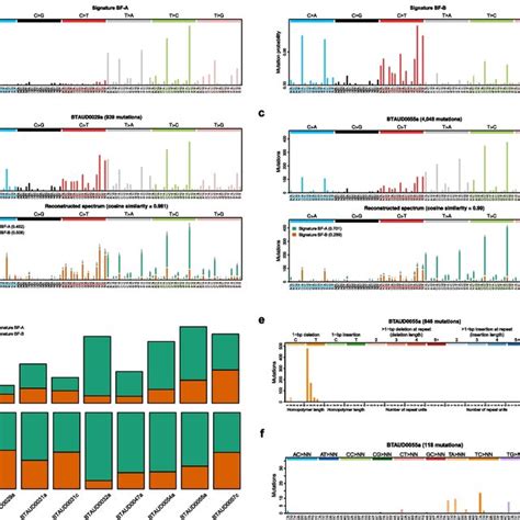 Mutational Signatures In Bovine Uc A Signature Extraction Identified 2 Download Scientific