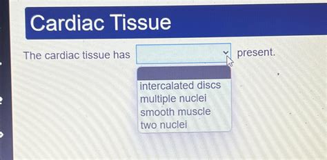 Solved Cardiac Tissuethe Cardiac Tissue Has
