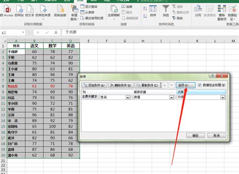Excel怎么按姓名笔画按姓氏排序 excel怎么按姓氏排序 正数办公