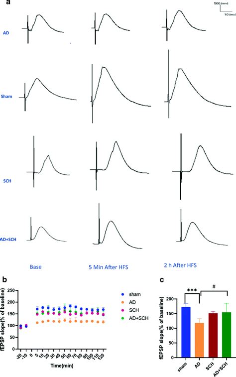 A Sample Records Of Field Excitatory Postsynaptic Potentials Fepsp