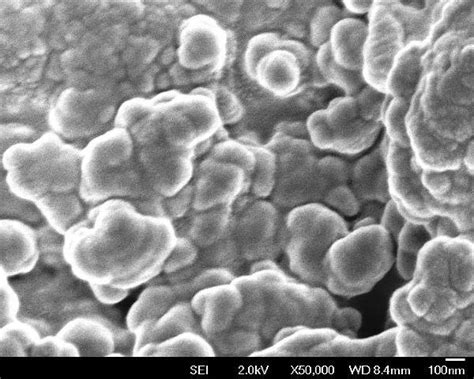 SEM Imageof TiO 2 Photocatalyst A Beforecoating B Aftercoating Download Scientific