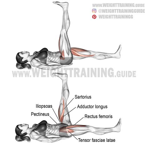 Pectineus Strengthening Exercises
