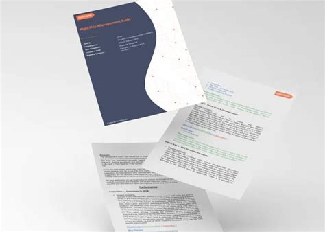 Management Audit Rightship