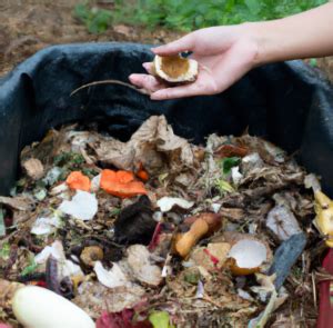 How To Make Compost Your House Your Garden