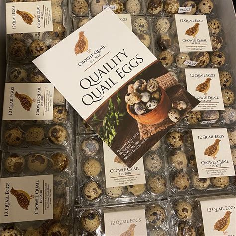 Hatching Quail Eggs Delivered Fresh Across The Uk Crowle Quail By