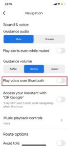 How To Turn Off The Voice In Google Maps TechCult