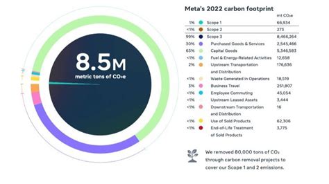 Meta Powers Towards Net Zero With Carbon Removal Projects Carbon Lock Tech
