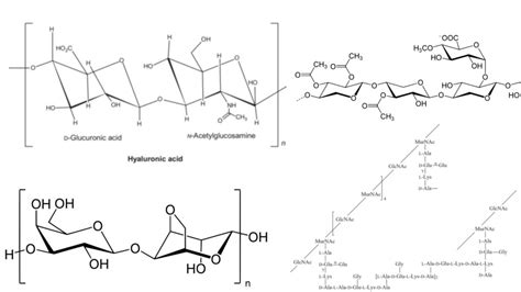 Isomerism Definition Types Examples Structures Biology Notes Online