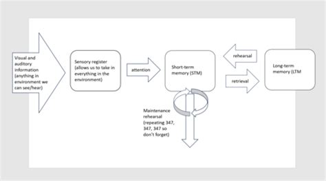 Msm Coding Capacity And Duration Flashcards Quizlet