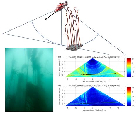 Remote Sensing Free Full Text Automated Filtering Of Multibeam Water Column Data To Detect