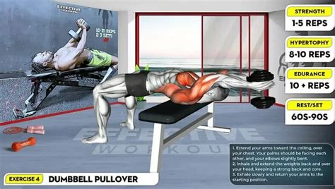 5 Лучших Упражнений для груди с гантелями Которые помогут накачать Грудные мышцы Смотреть