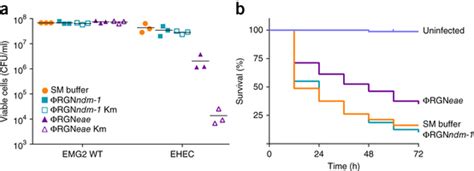 Metabolomics Is About Metabolic Systems Integration Leaders In Pharmaceutical Business