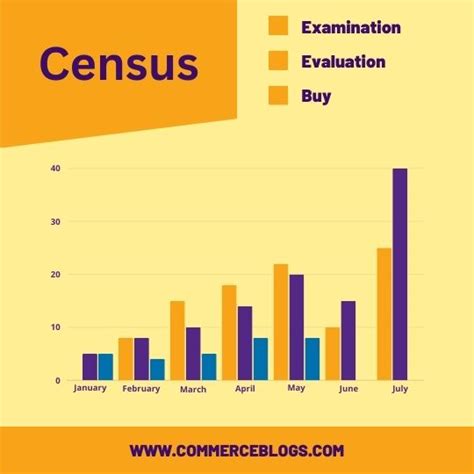 Census Definition Methods And Examples