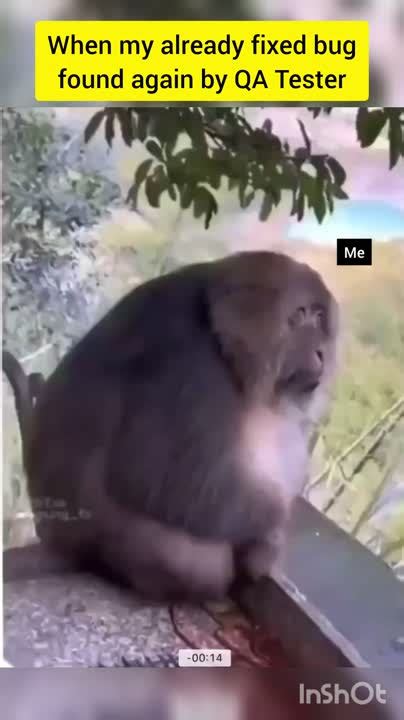 Jamilur Rahman On Linkedin Funny Qa Dev