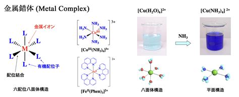 近畿大学理工学部エネルギー物質学科 光電子機能化学研究室